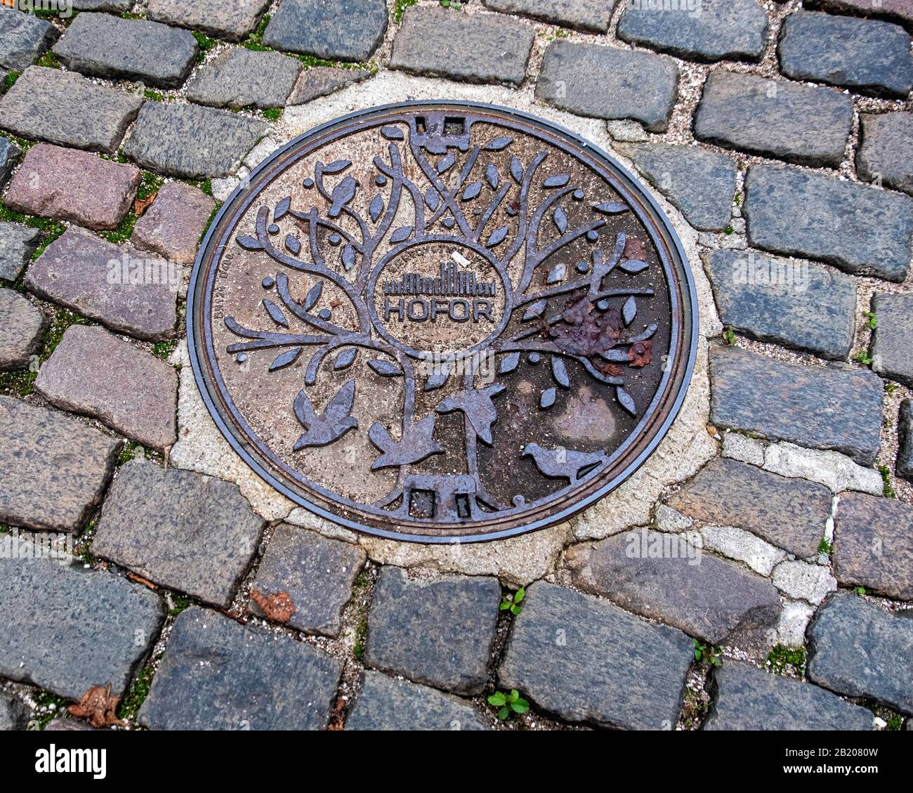 Manhole cover with leafy tree and five birds by designer Anne Mette ...