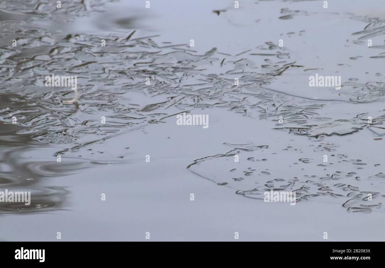 Patterns in ice on frozen pond Stock Photo - Alamy