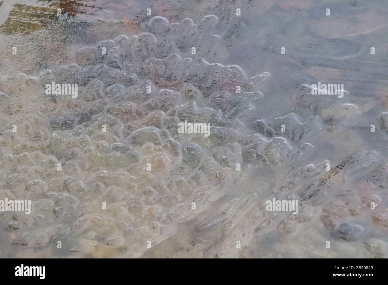Patterns in ice on frozen pond Stock Photo - Alamy