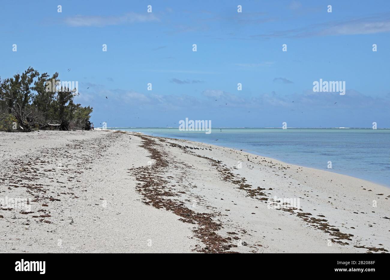 view along beach of seabird island Ile aux Cocos Island, Rodrigues ...