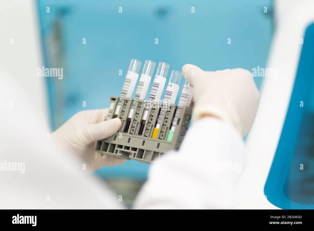People Working At Laboratory of Blood Bank Stock Photo - Alamy