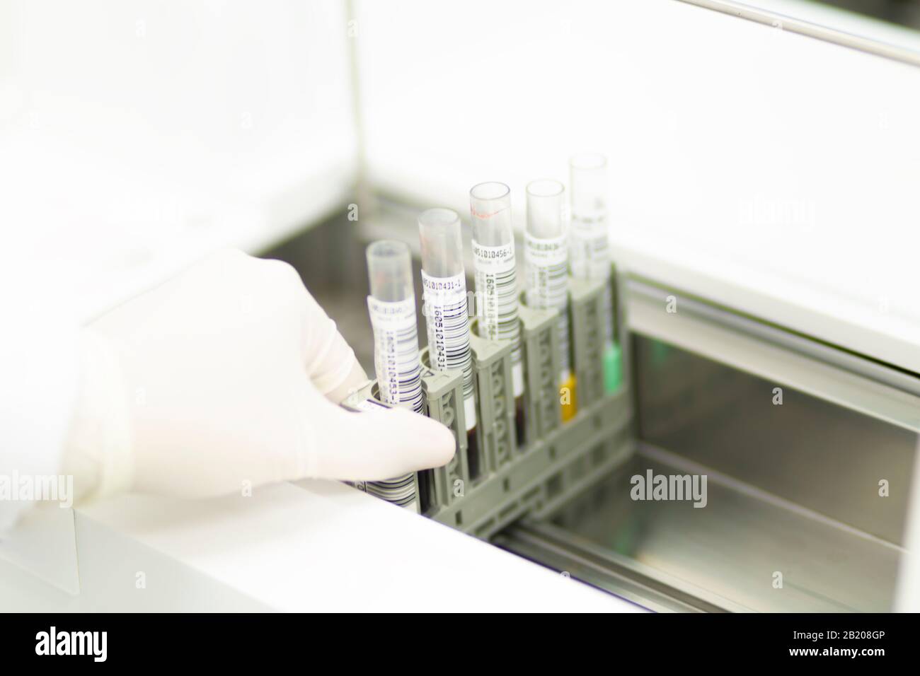 People Working At Laboratory of Blood Bank Stock Photo - Alamy