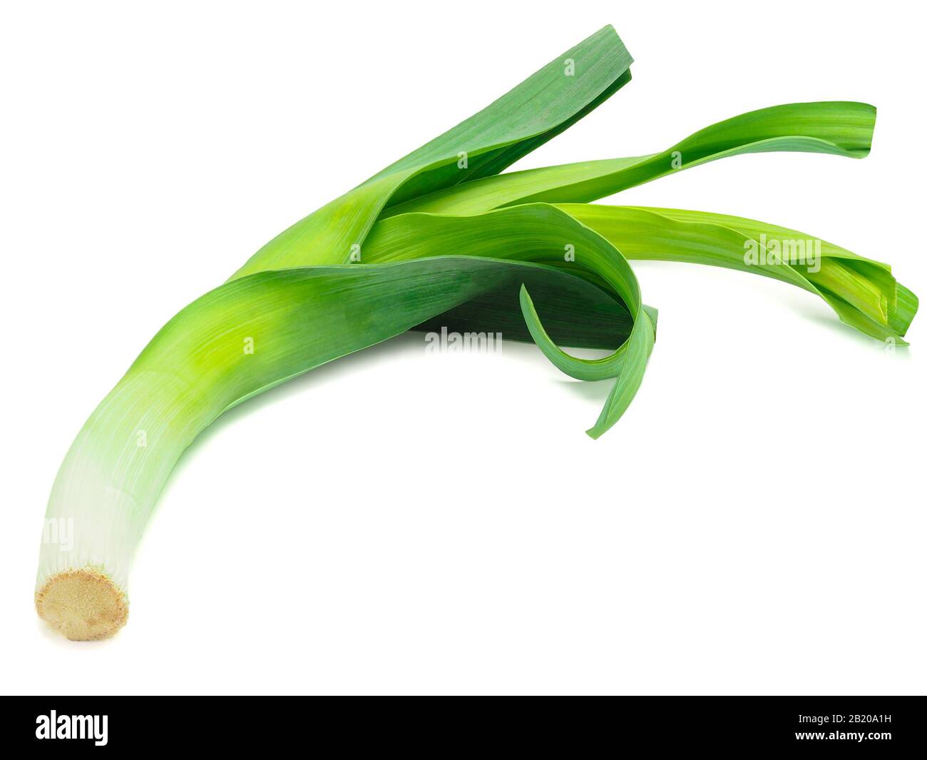 fresh leek on white background Stock Photo - Alamy