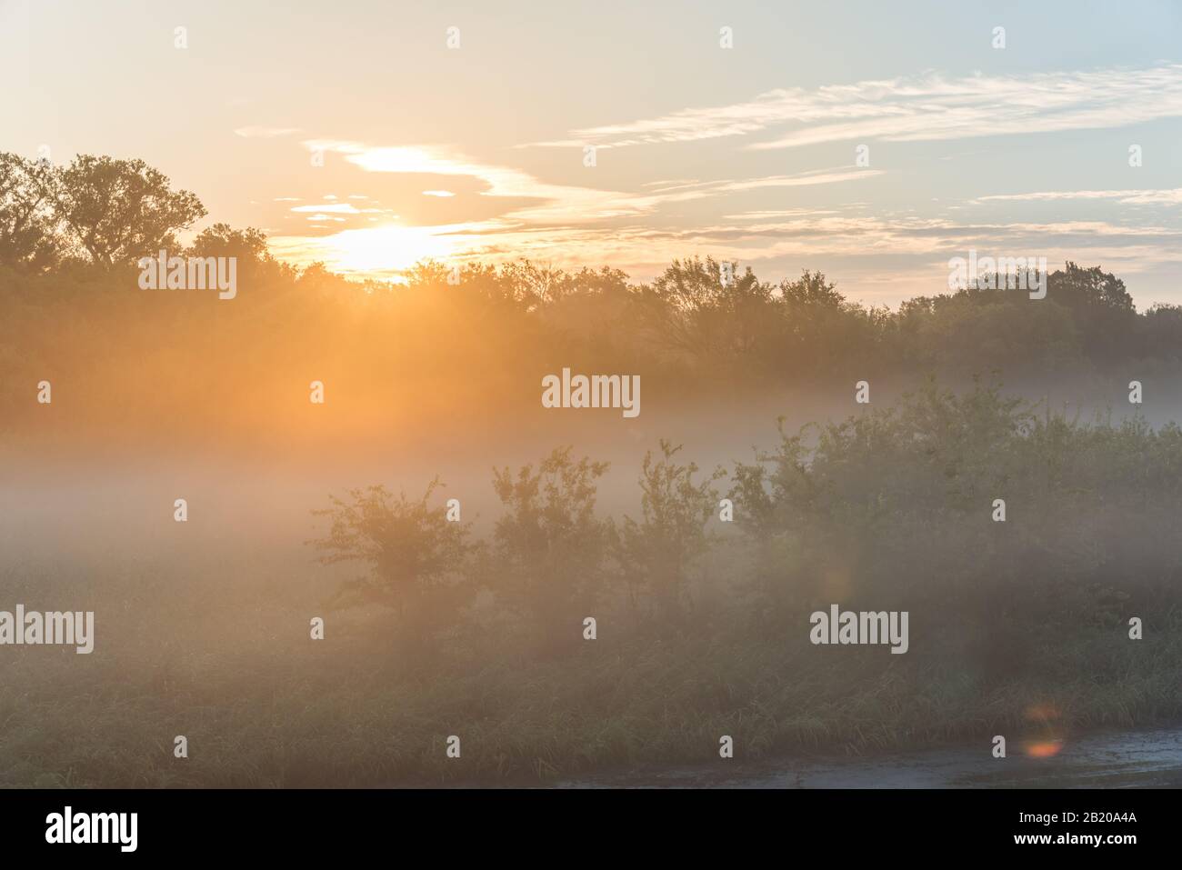 Sunrise with beautiful sun rays over nature trail near Dallas, Texas ...