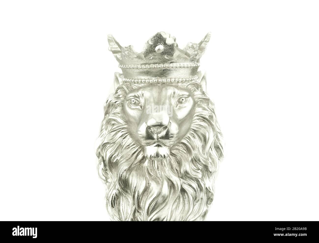 Silver Lion Wallpaper Lion 4K Wallpaper