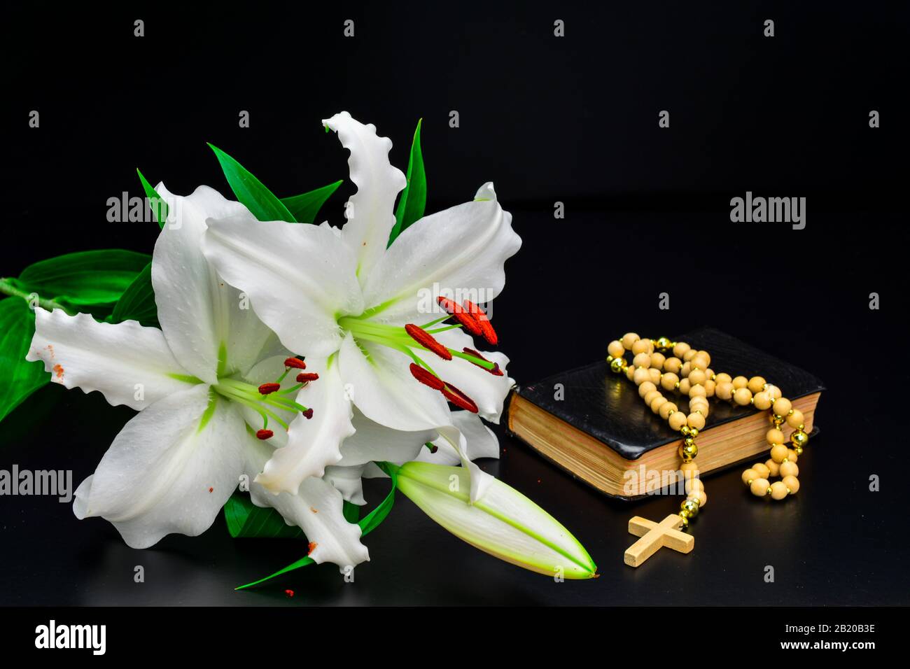 White lily flower with pollen on black background Stock Photo - Alamy