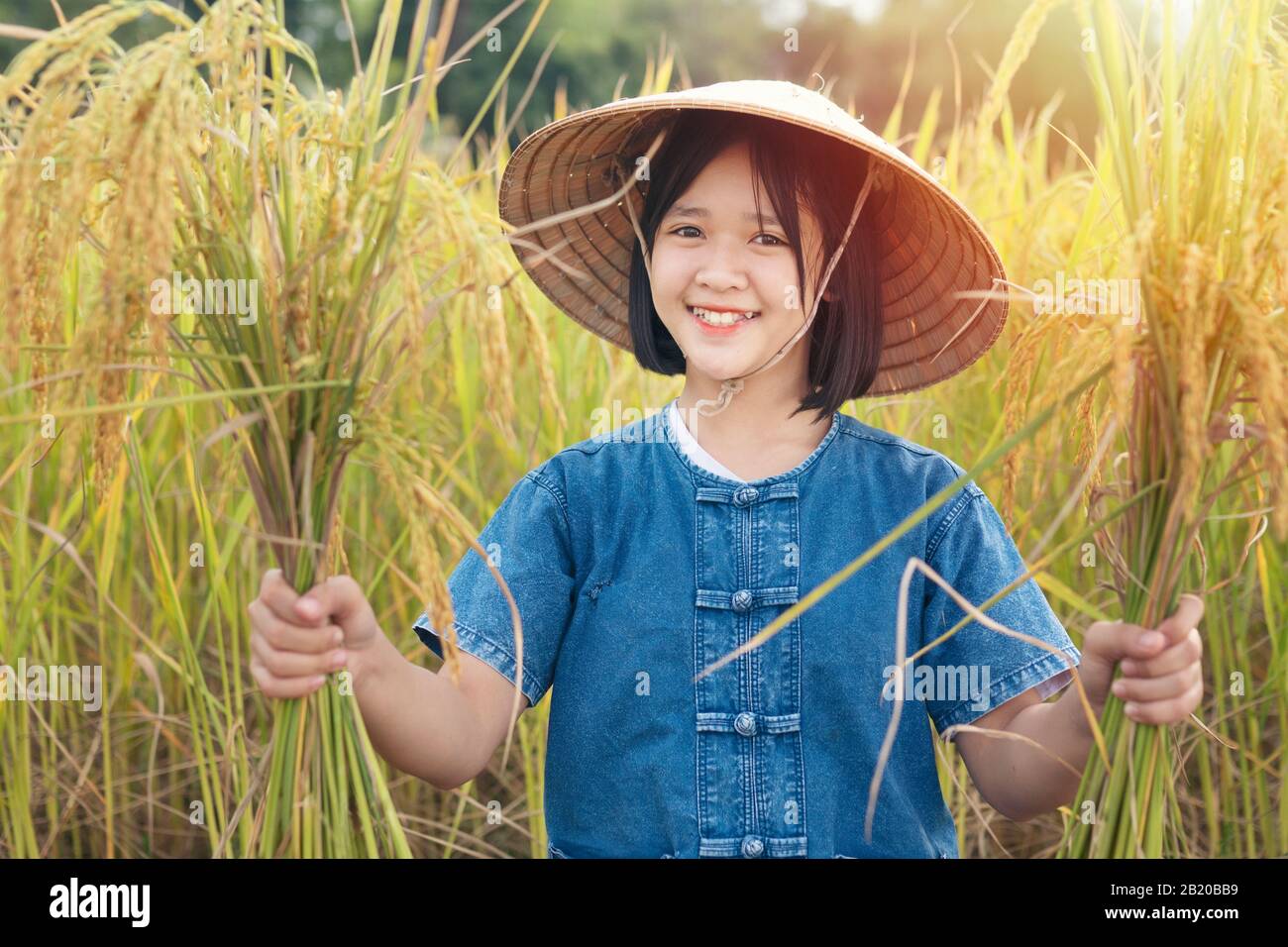 Asian girl farmer holding rice plant on yellow rice field Stock Photo ...