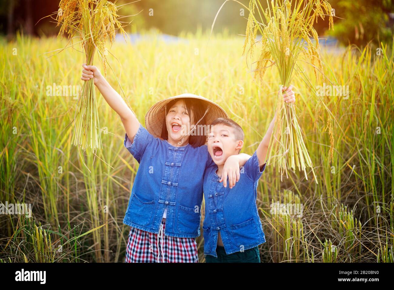 Asian boy garden harvesting hi-res stock photography and images - Alamy