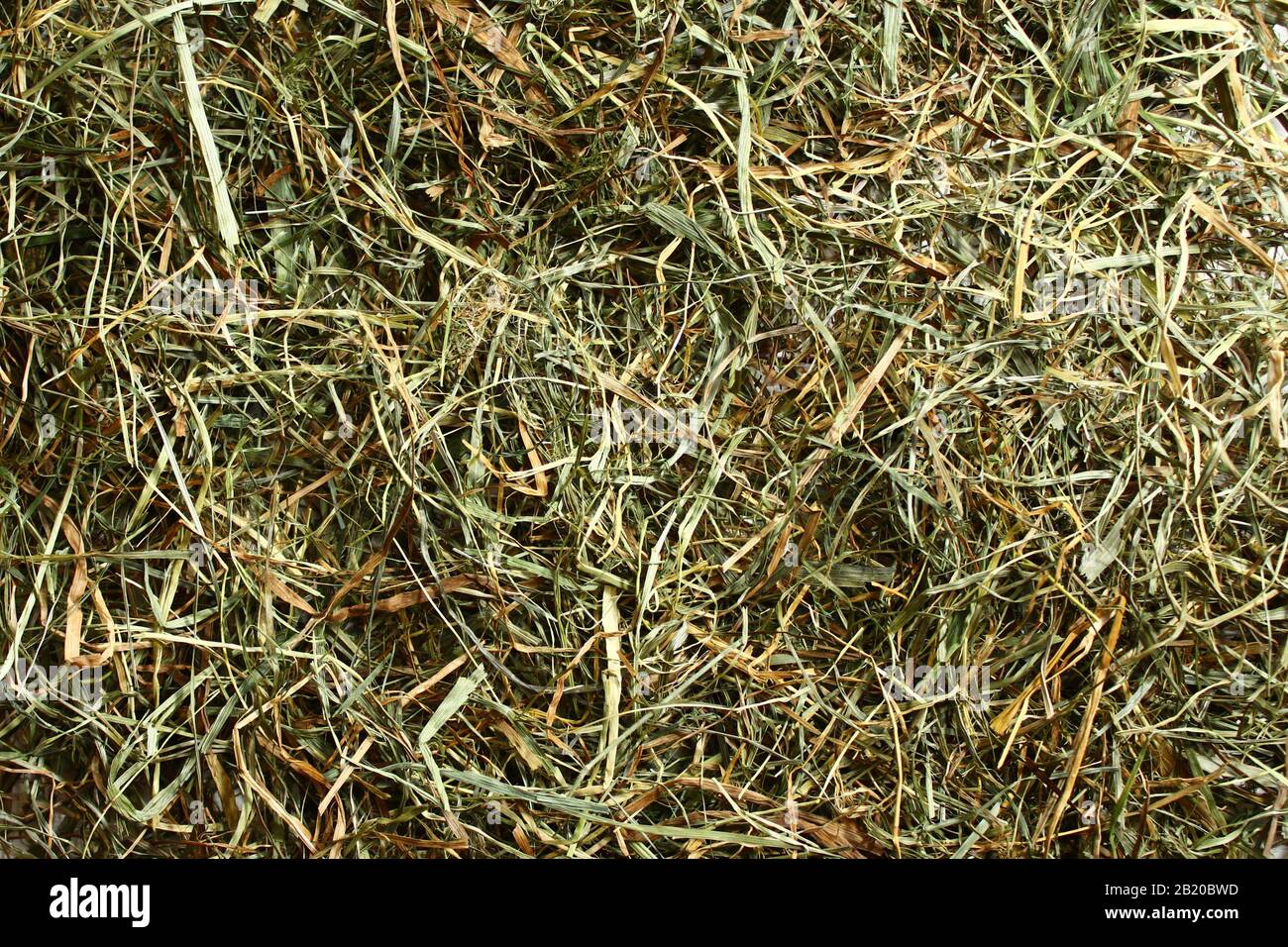 The picture shows a hay background Stock Photo - Alamy