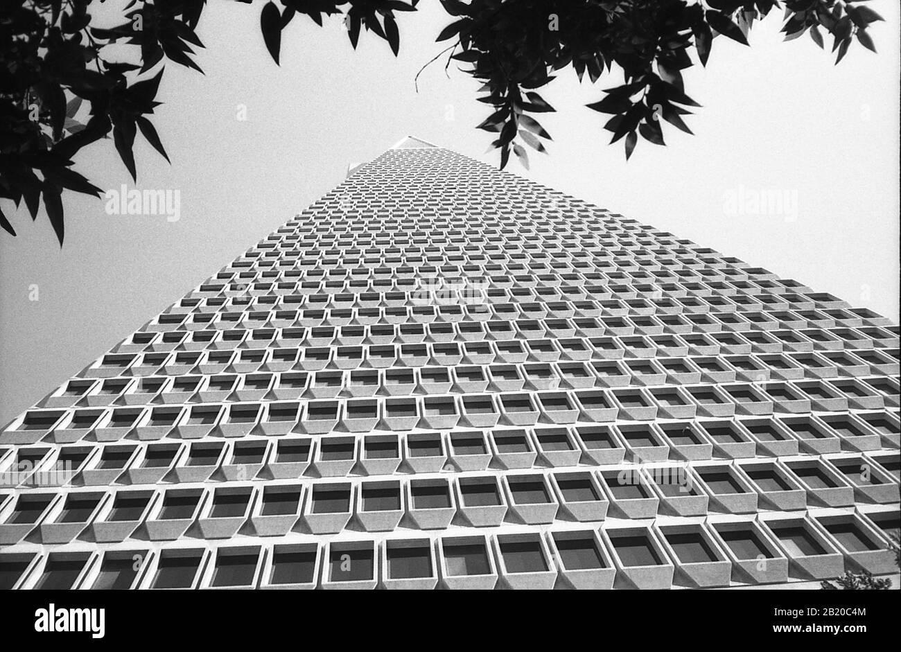 The trans america building in San Francisco 1995 Stock Photo - Alamy
