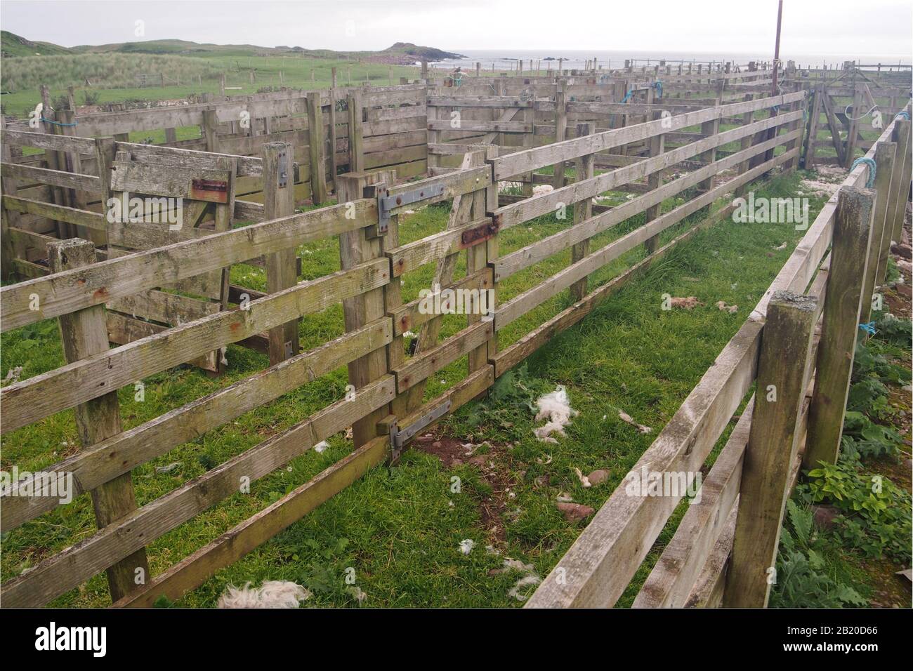 Sheep pens hi-res stock photography and images - Alamy