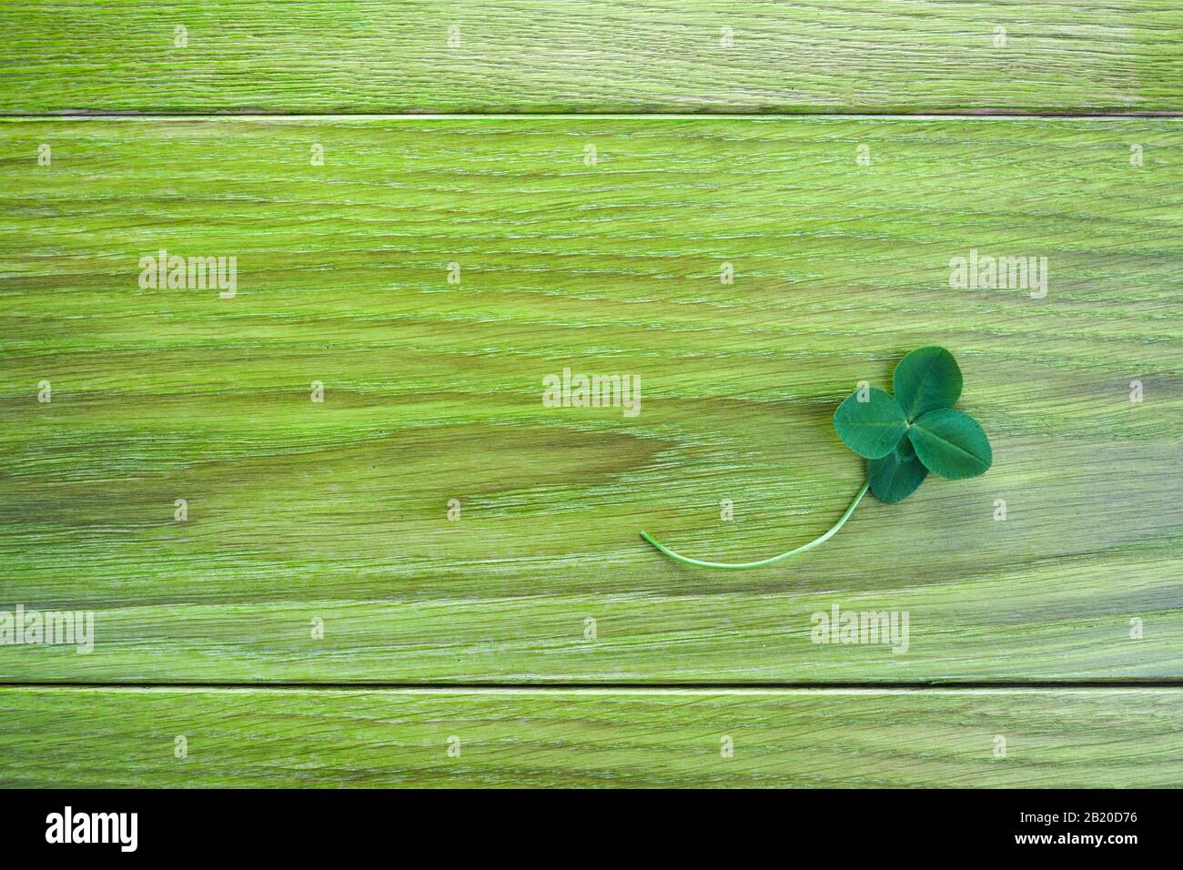 Leave clover on green wooden background. Greeting happy Four leaf ...