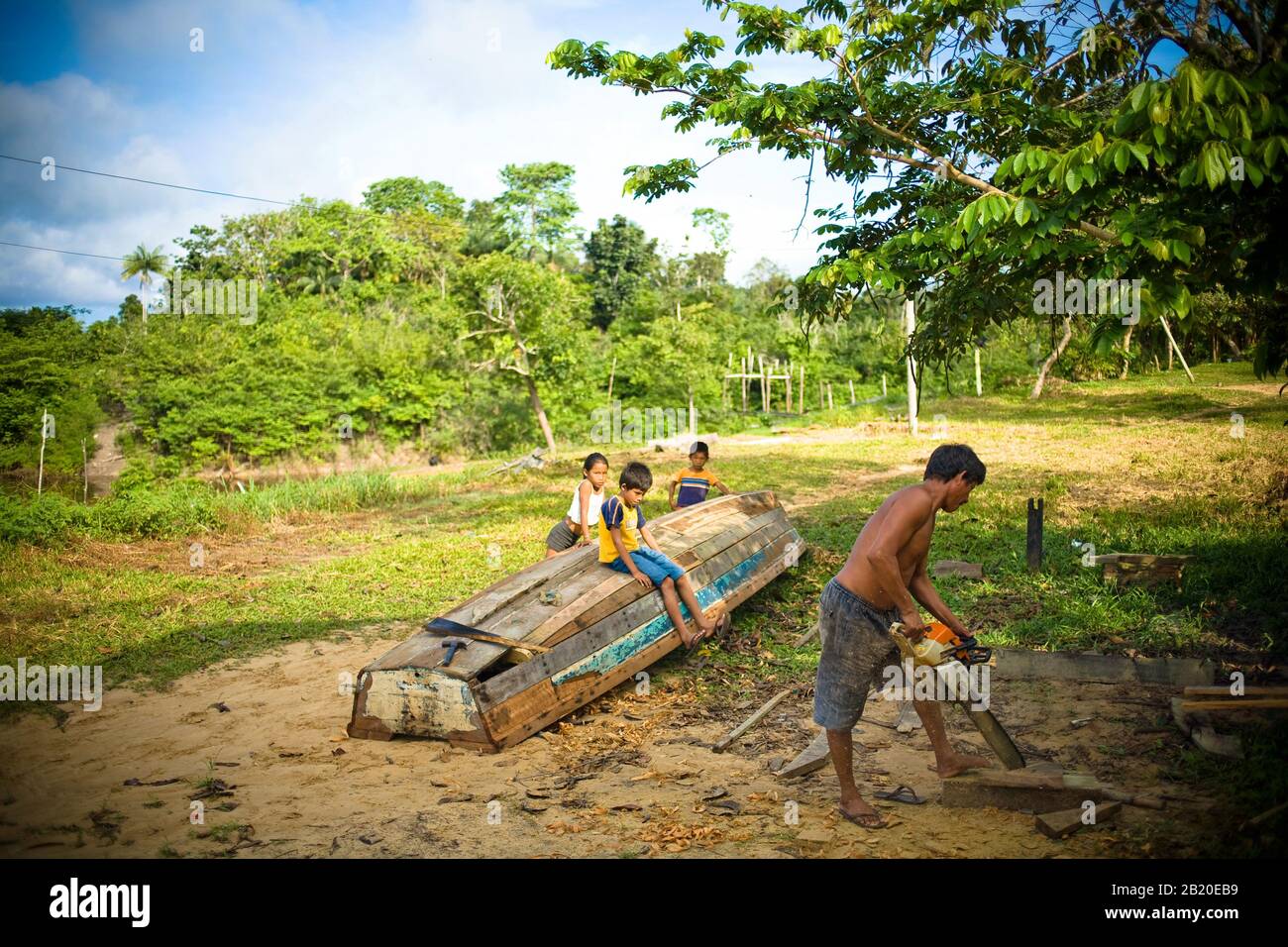 Cutting trees for canoes hi-res stock photography and images - Alamy