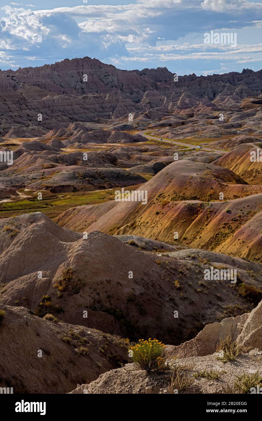 Badlands national park flowers hi-res stock photography and images - Alamy