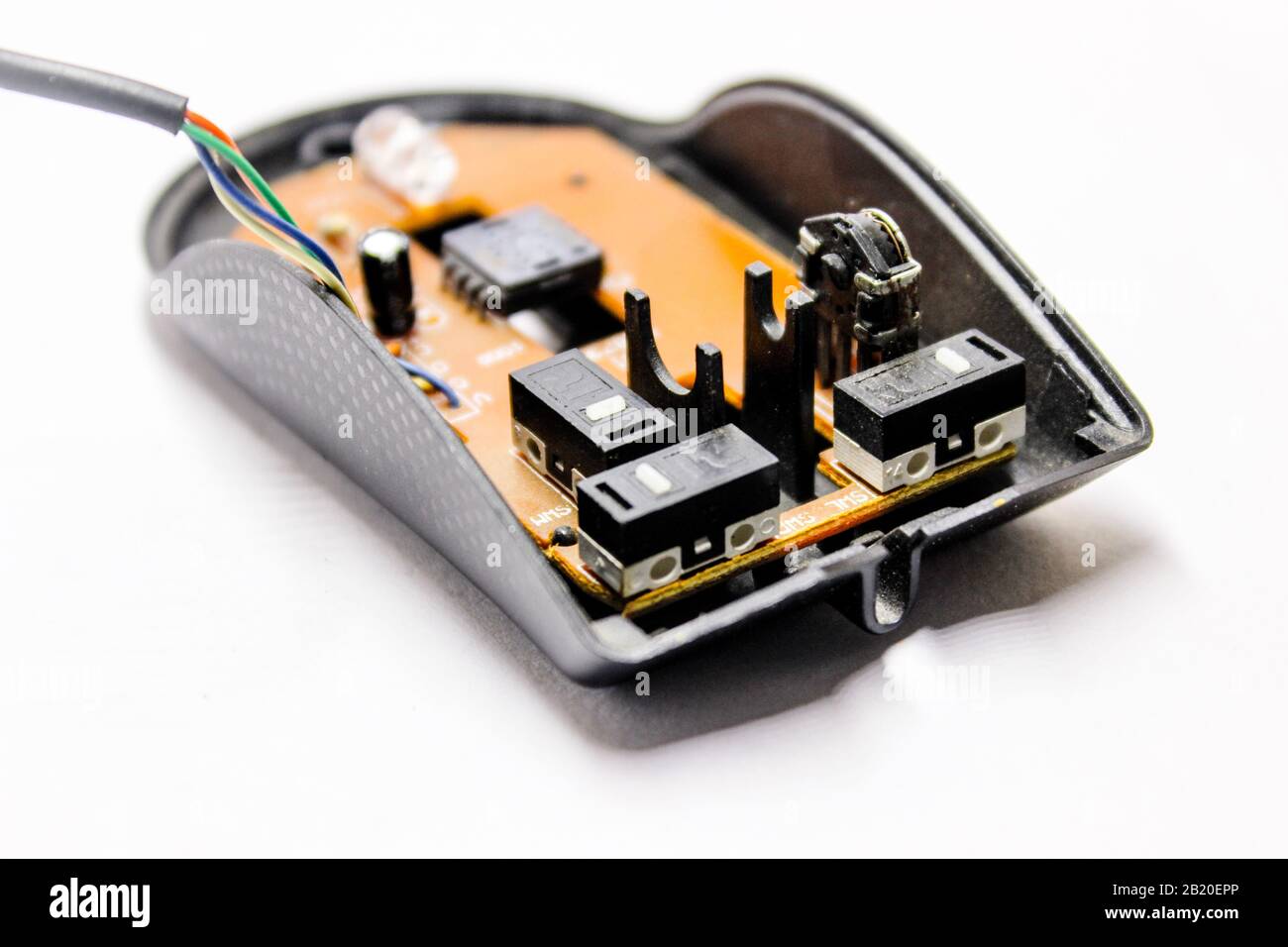 Picture of a mouse hi-res stock photography and images - Alamy