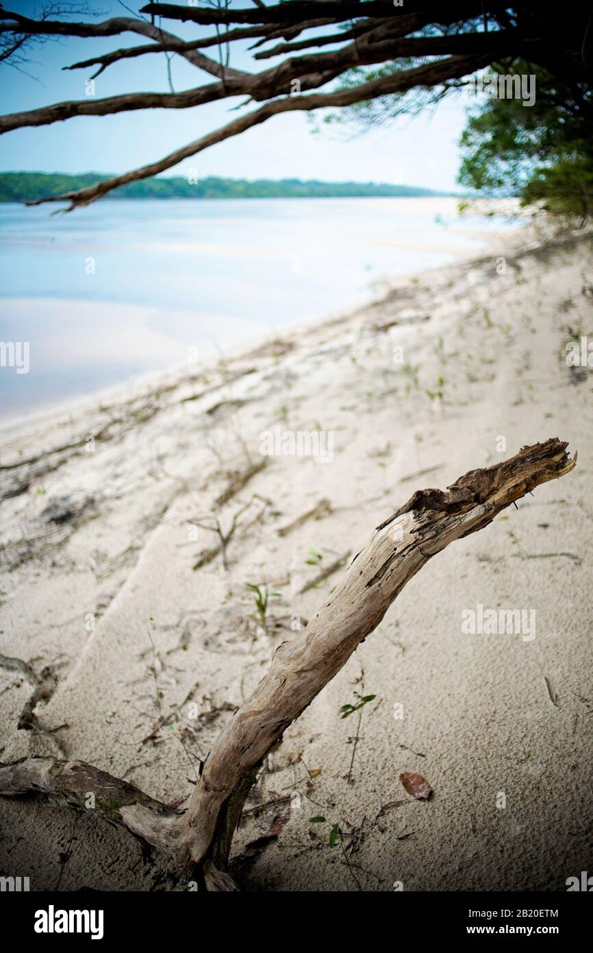 Landscape, Negro River, Iranduba, Amazonas, Brazil Stock Photo - Alamy