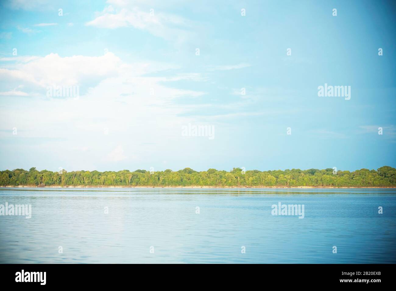 Landscape, Negro River, Iranduba, Amazonas, Brazil Stock Photo - Alamy