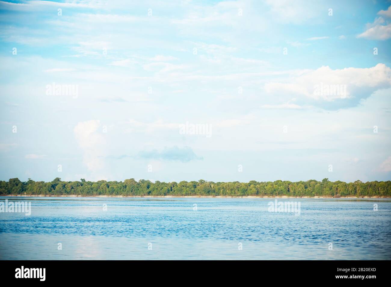 Landscape, Negro River, Iranduba, Amazonas, Brazil Stock Photo - Alamy