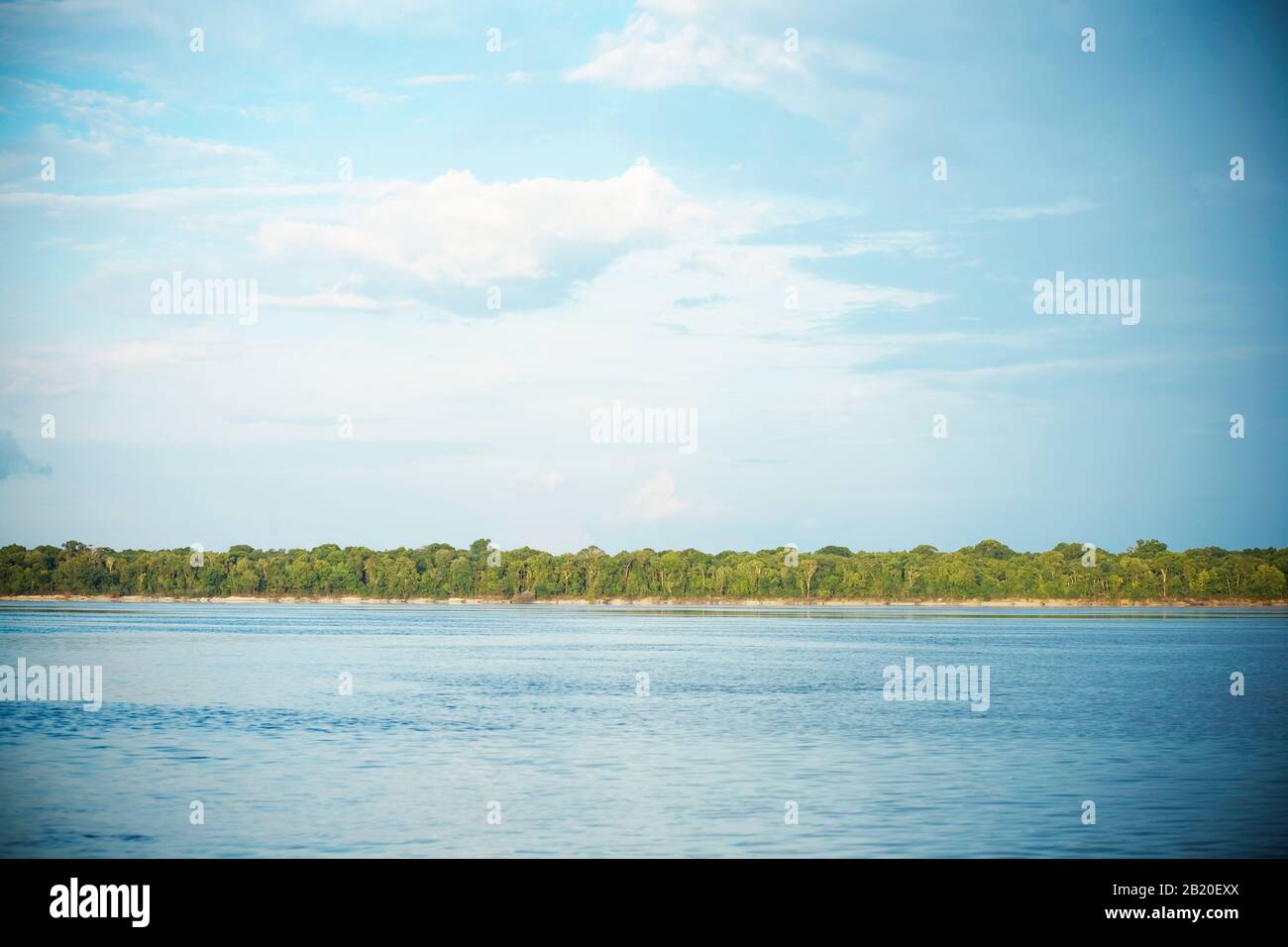 Landscape, Negro River, Iranduba, Amazonas, Brazil Stock Photo - Alamy