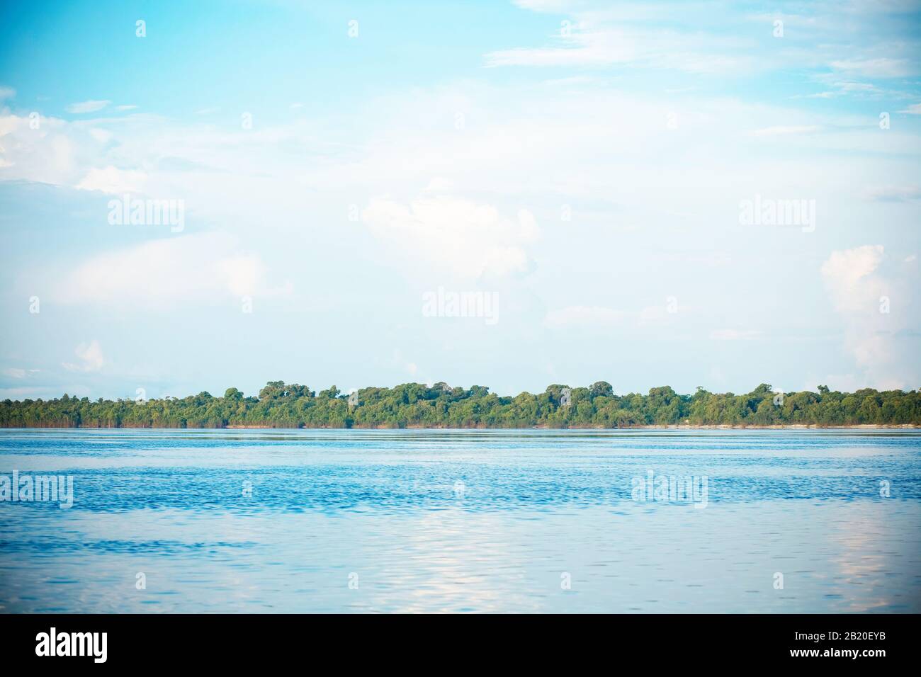 Landscape, Negro River, Iranduba, Amazonas, Brazil Stock Photo - Alamy