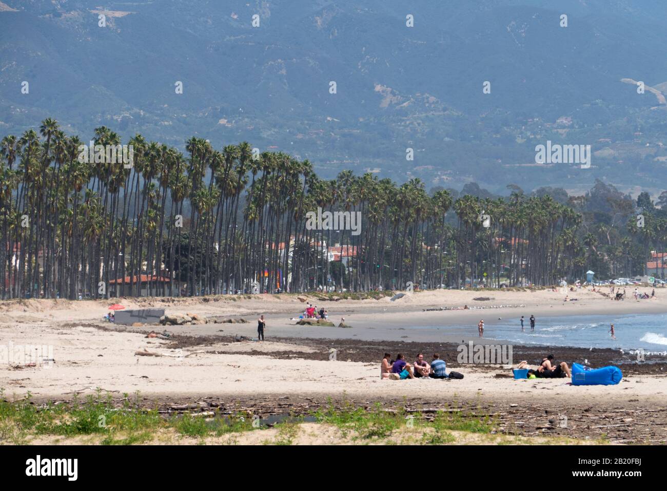 Ruby palm hi-res stock photography and images - Alamy