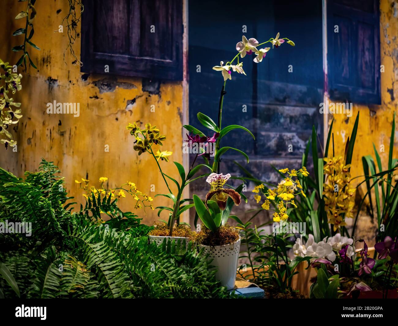 House front yard flowers hi-res stock photography and images - Alamy