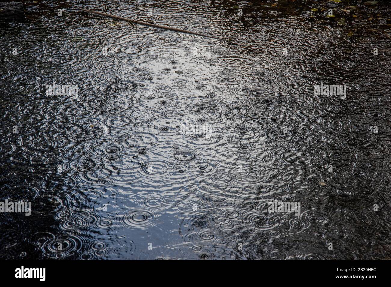 Rain rainfall pond water precipitation hi-res stock photography and ...