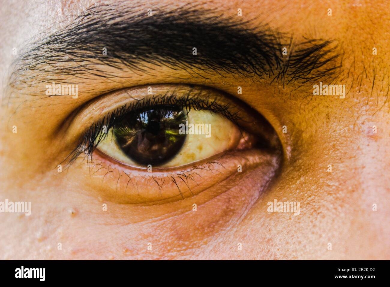 A picture of eye Stock Photo - Alamy