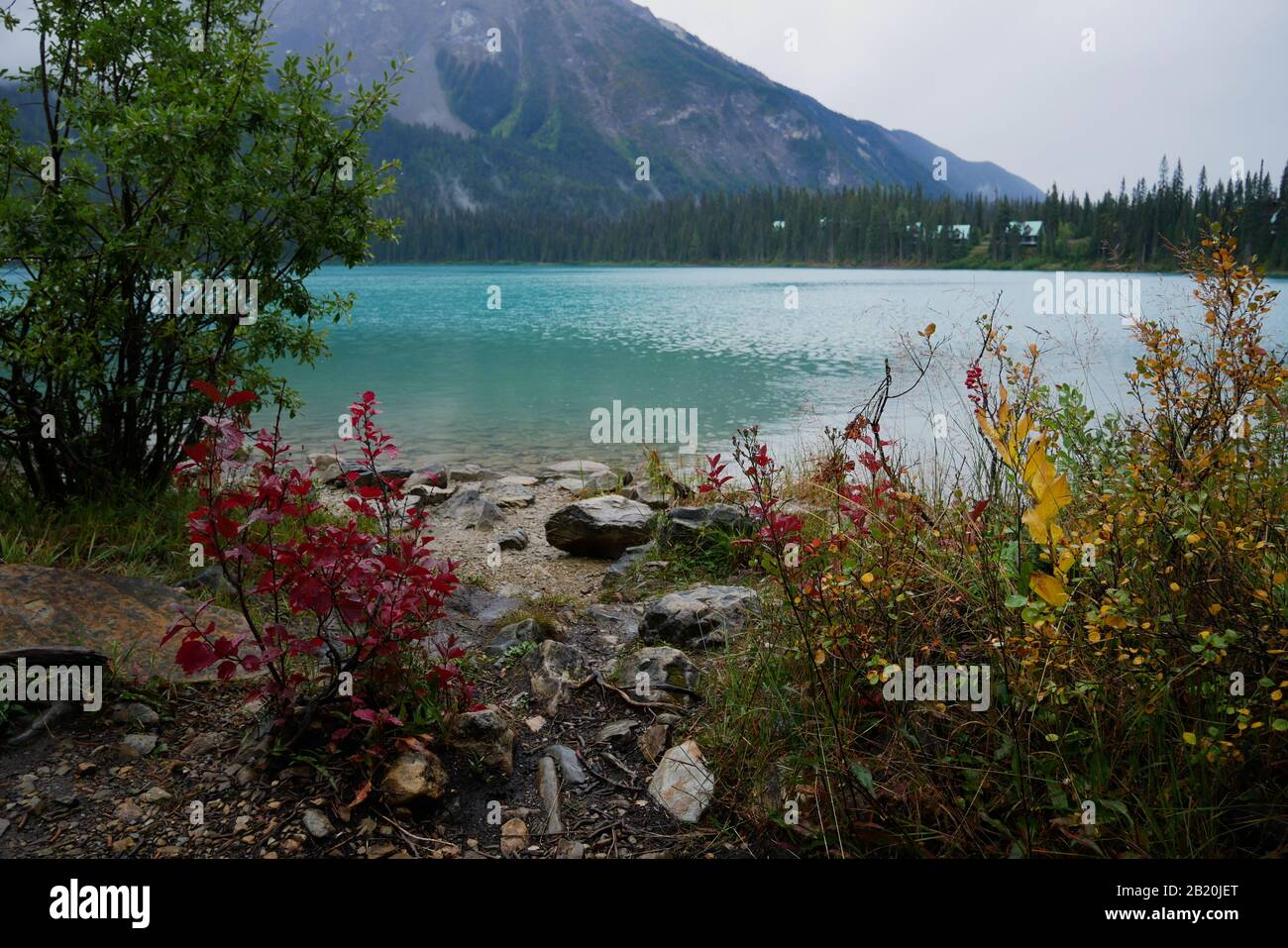 Glacial lake with colorful plants Stock Photo - Alamy
