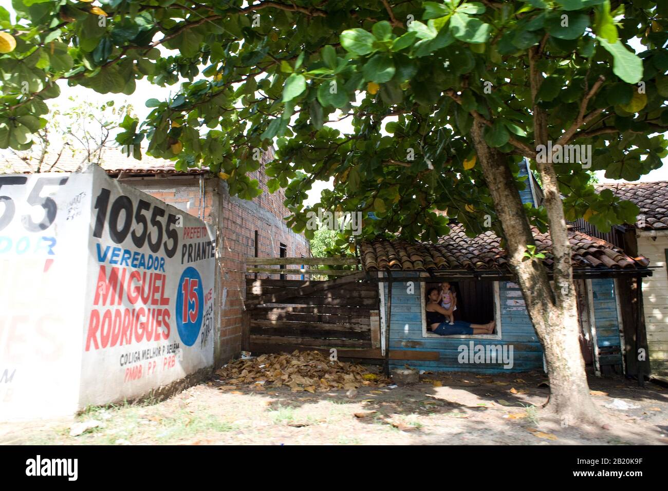 House, Tree, Barreiro Slum, Belém, Pará, Brazil Stock Photo - Alamy