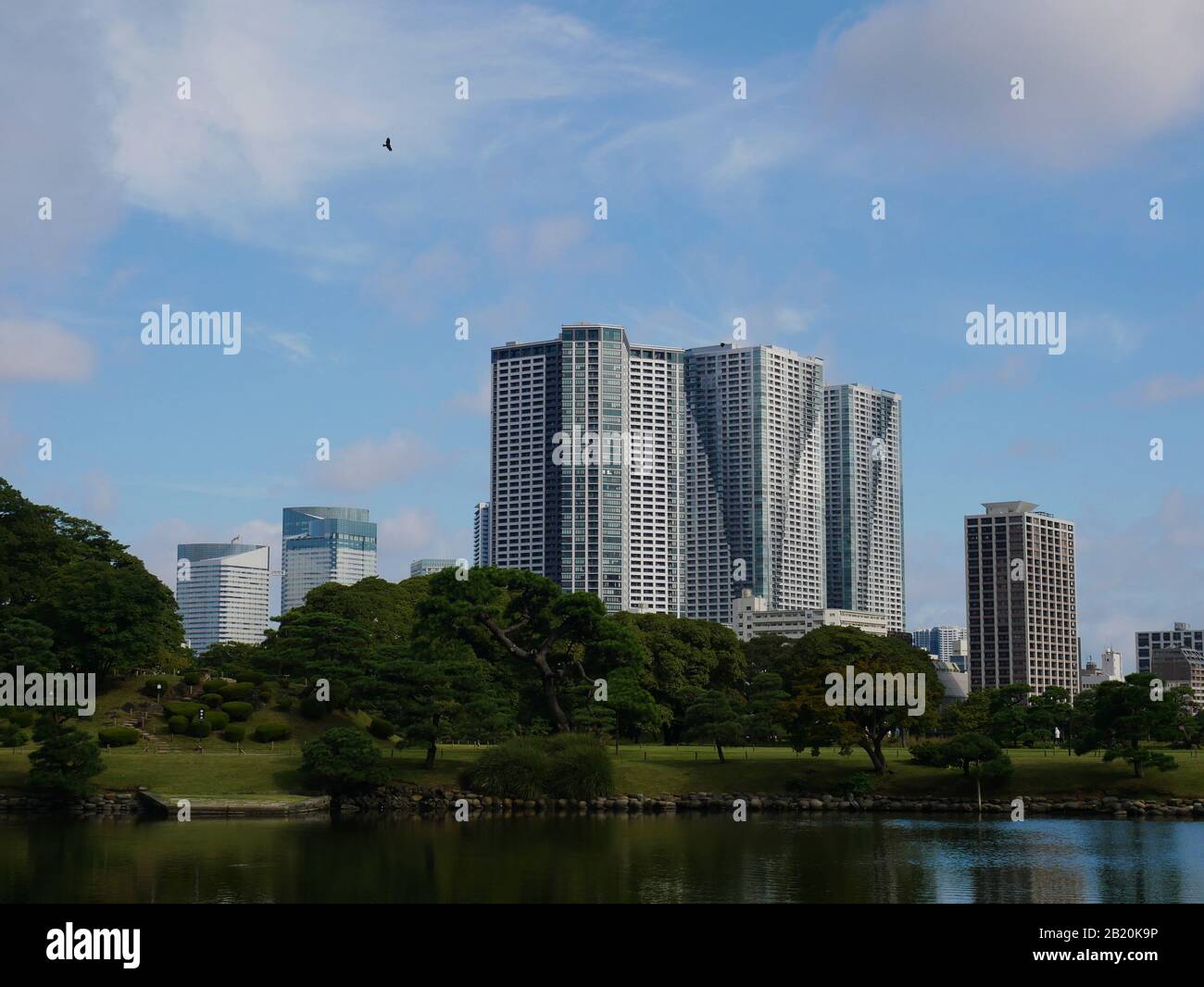 City park tokyo family hi-res stock photography and images - Alamy