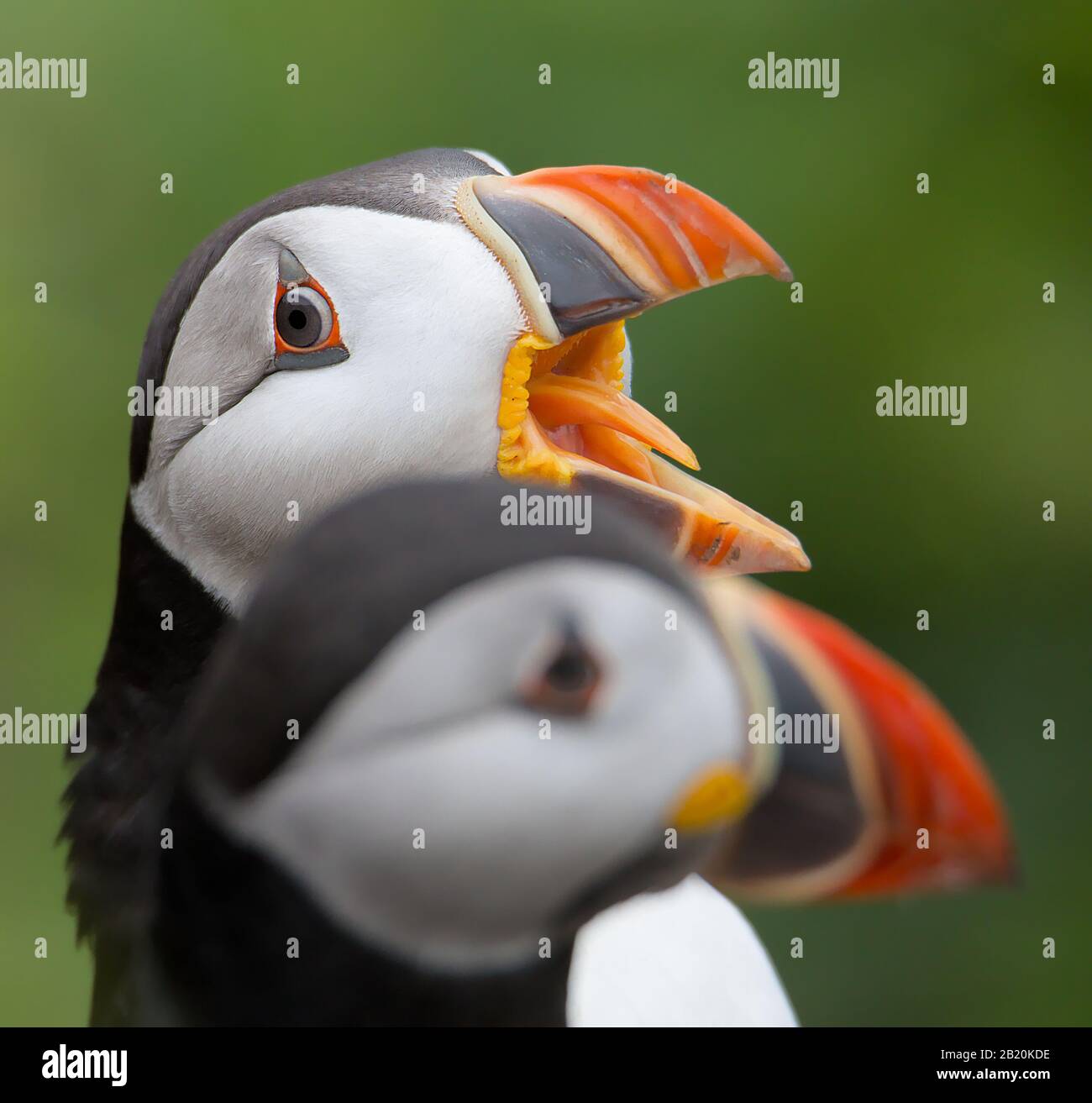Bill ward hi-res stock photography and images - Alamy