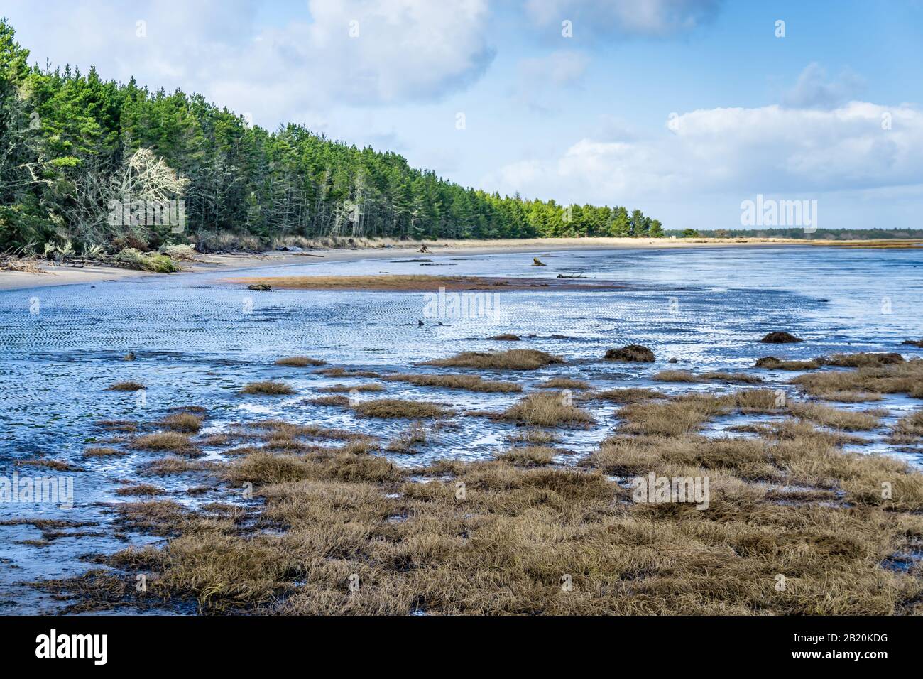 A view of the shoreline at Leadbetter Point State Park in Washington ...