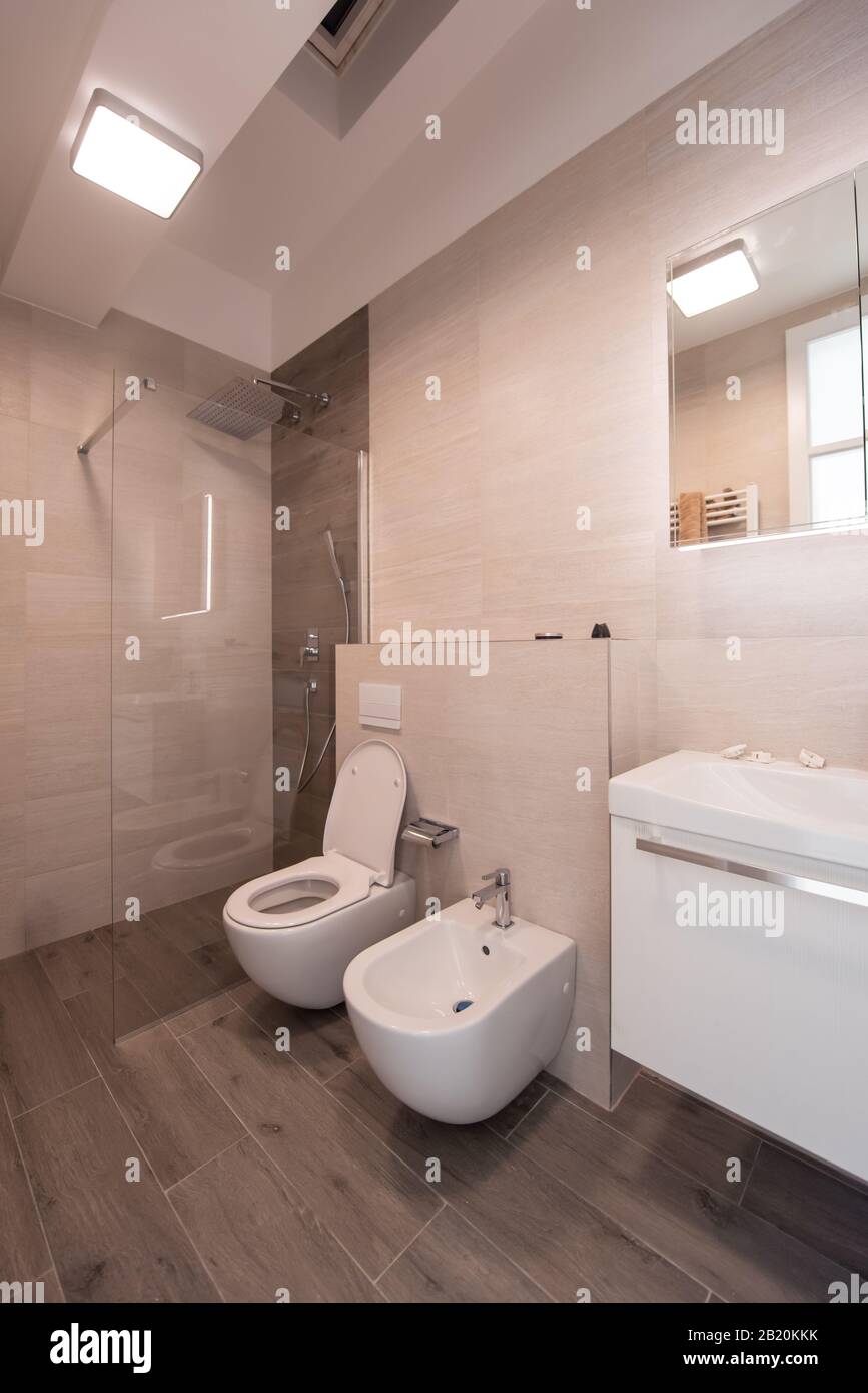 luxury stylish bathroom interior with toilet,bidet sink and spacious ...