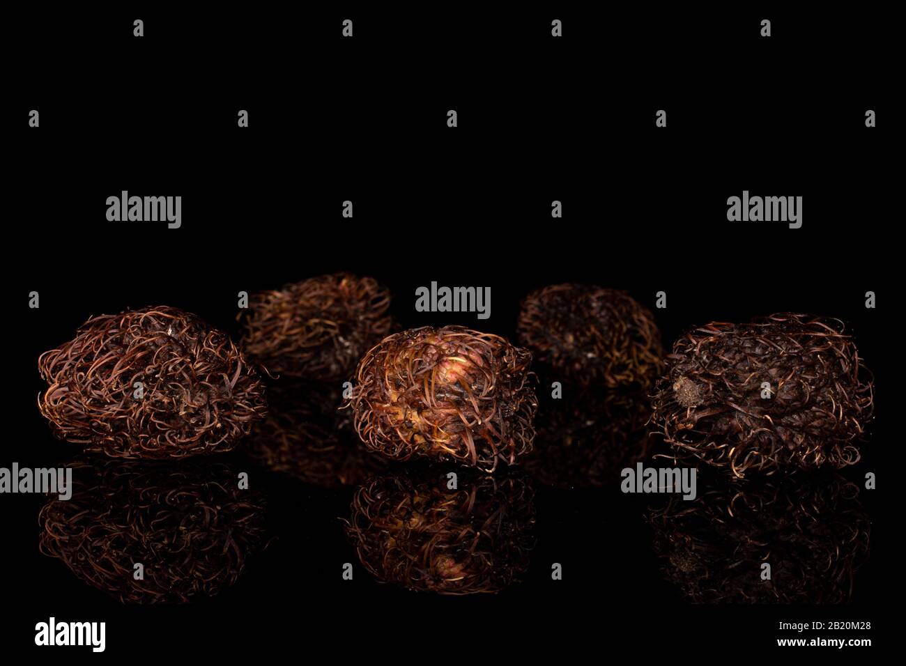 Group of five whole old brown rambutan isolated on black glass Stock ...