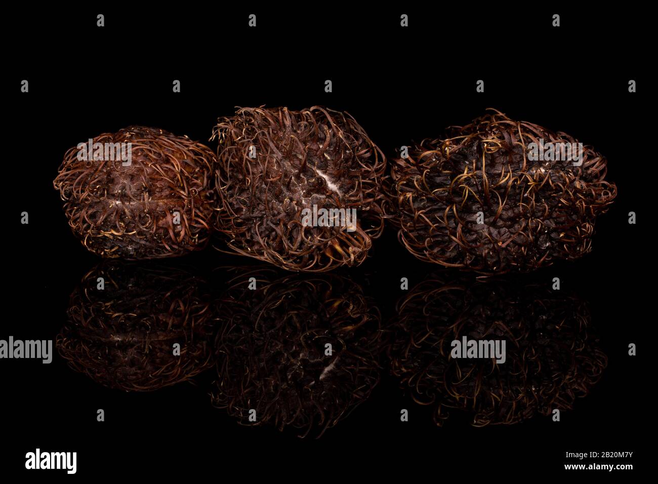 Group of three whole old brown rambutan isolated on black glass Stock ...