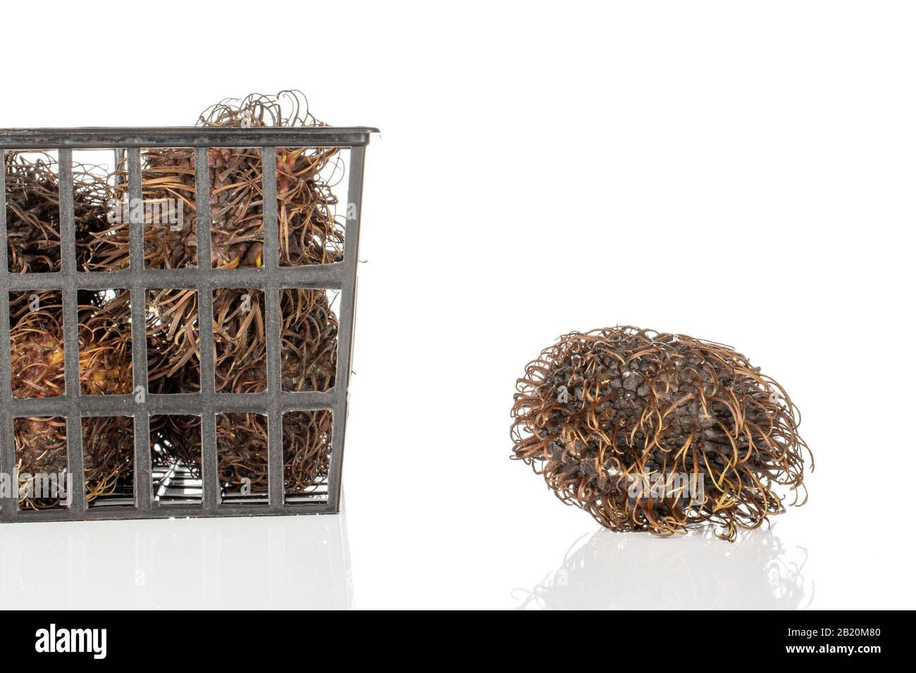 Lot of whole dark old brown rambutan in black plastic basket isolated ...