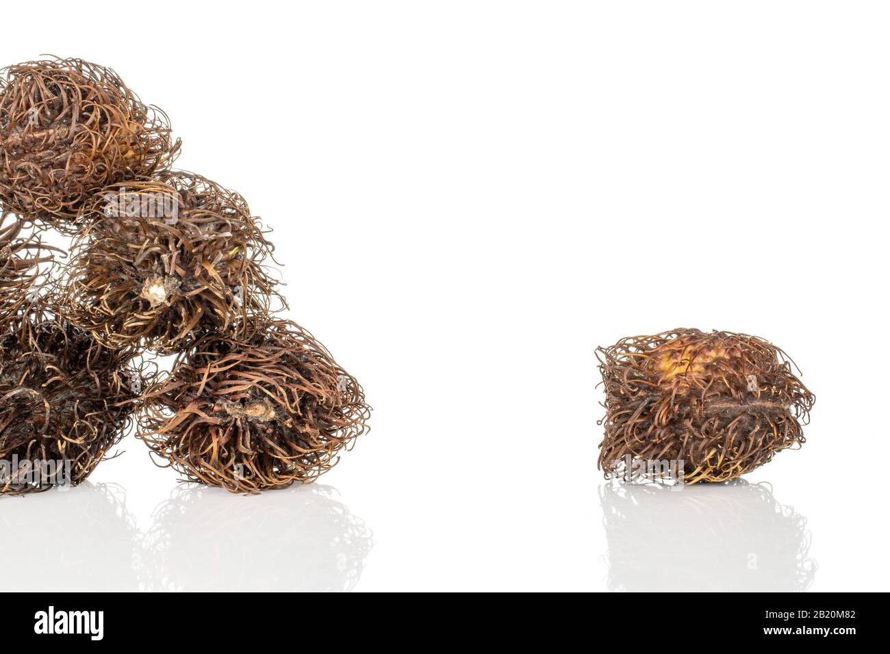 Group of six whole old brown rambutan isolated on white background ...