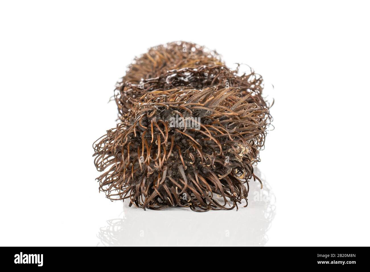 Lot of whole old brown rambutan isolated on white background Stock ...