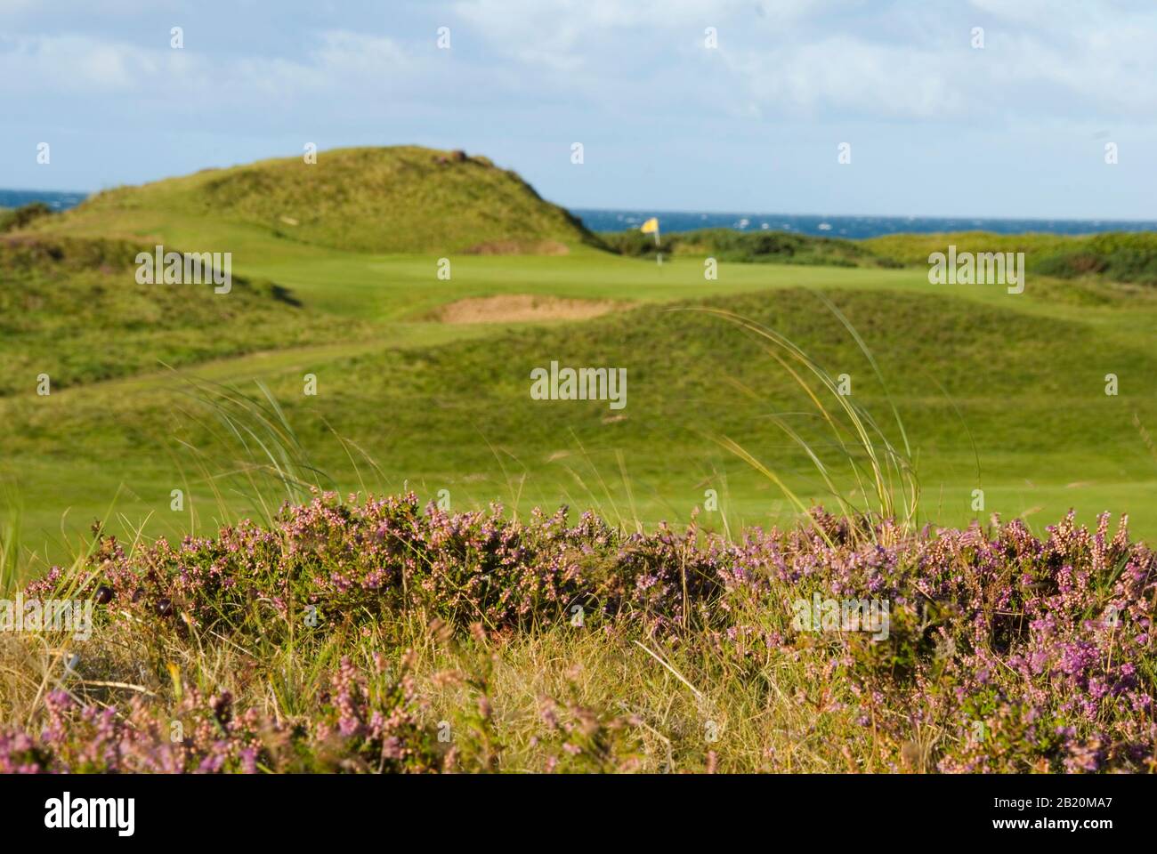 Postage Stamp green Stock Photo - Alamy