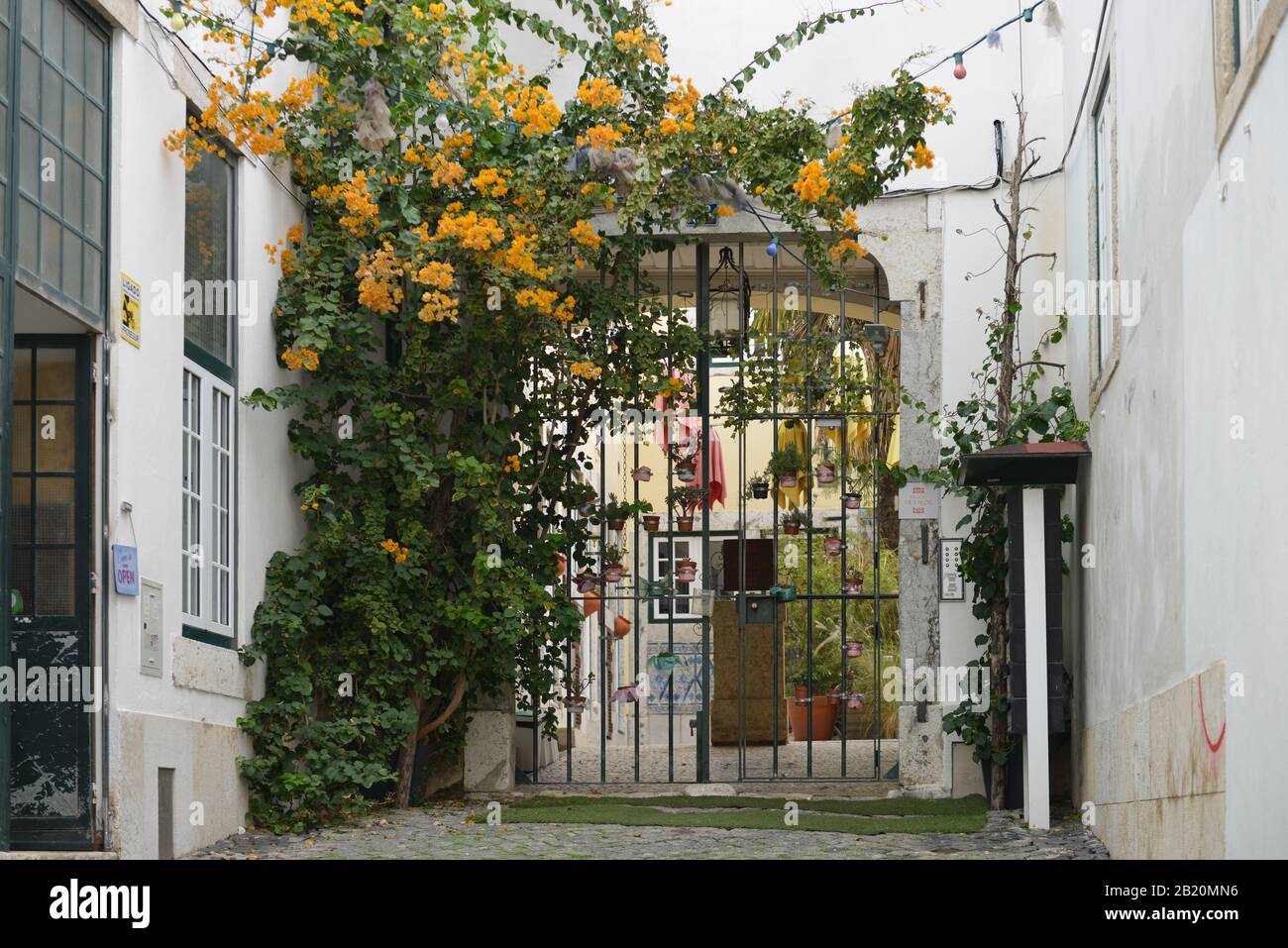 Patio, Alfama, Lissabon, Portugal Stock Photo - Alamy
