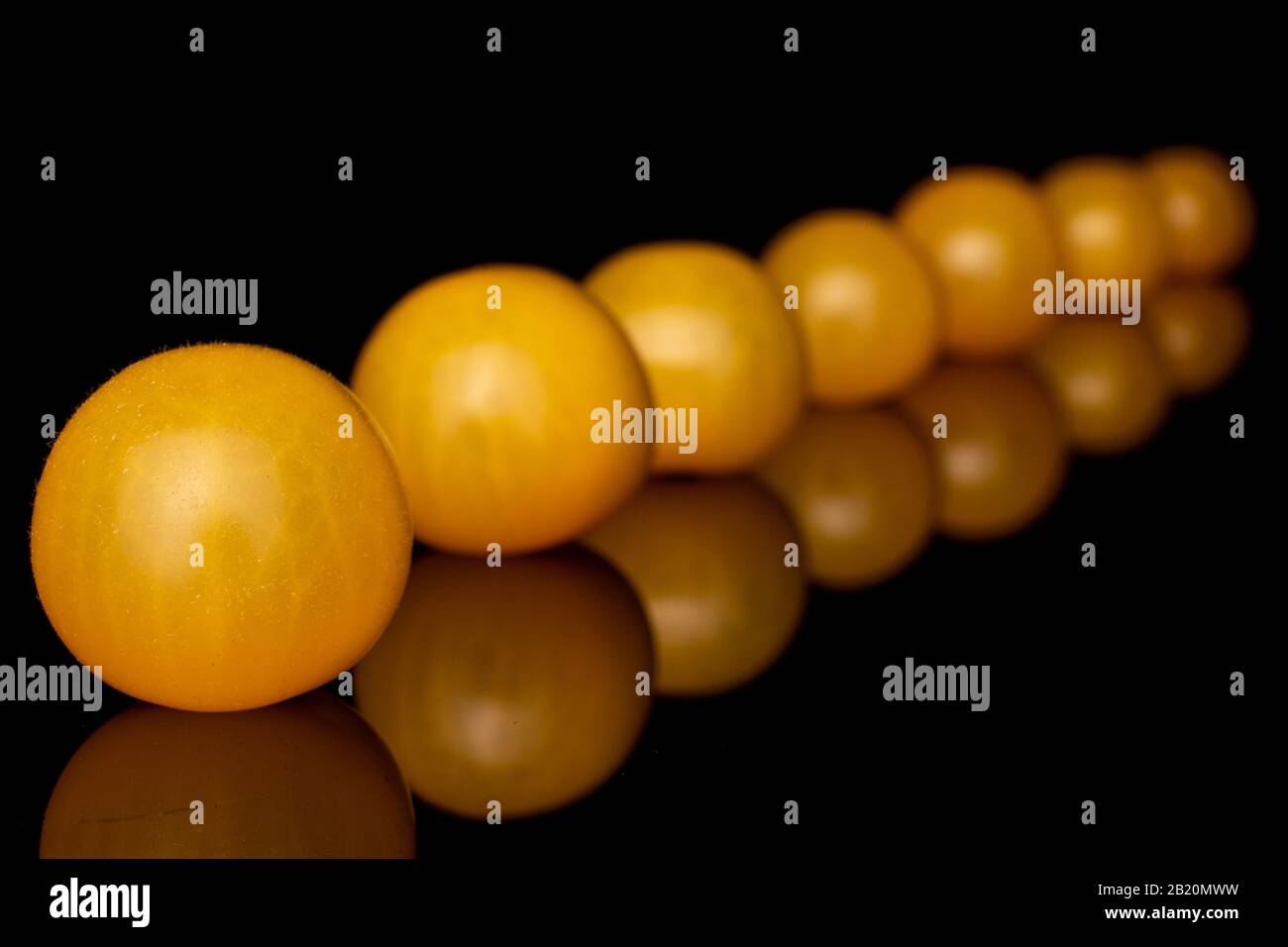 Group of seven whole fresh yellow tomato in row isolated on black glass ...