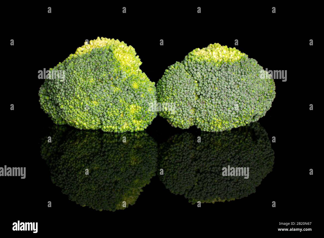 Group of two whole fresh green broccoli head isolated on black glass ...