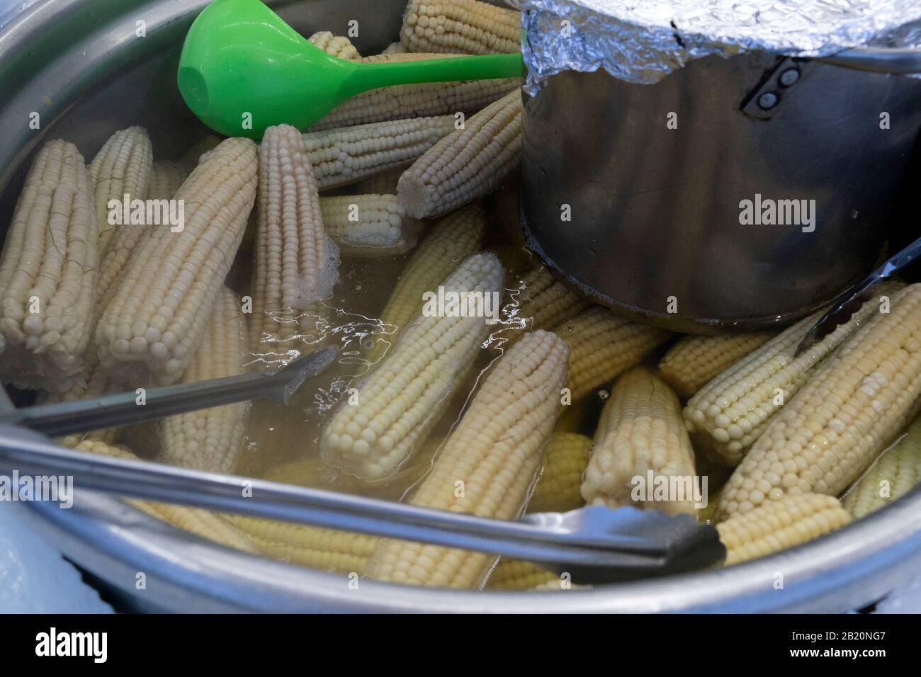 cooked cobs corn on display stand Stock Photo - Alamy