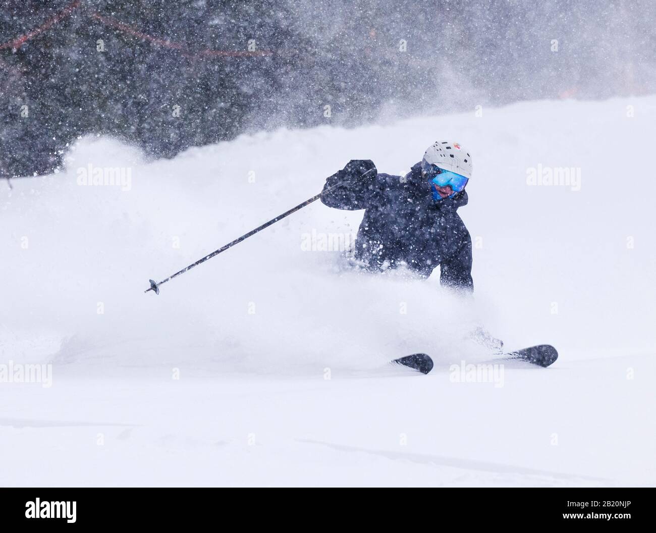 Skier in fresh powder at Monarch Mountain ski & snowboard resort on the ...
