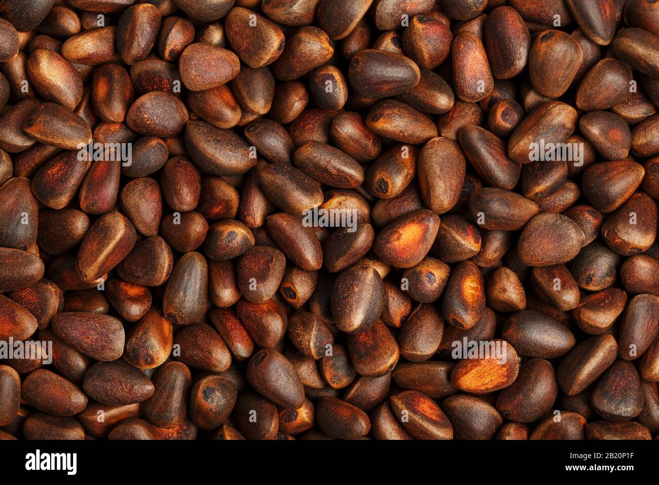Pine nut in the shell close-up. Texture Macro. Delicious and healthy ...