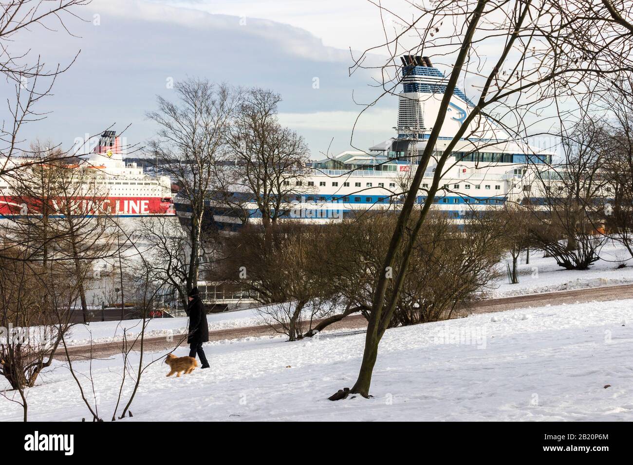 Helsinki, Finland. Large cruise ships at the Helsinki Ferry Port ...