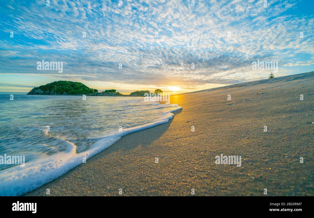 Moturiki island new zealand hi-res stock photography and images - Alamy