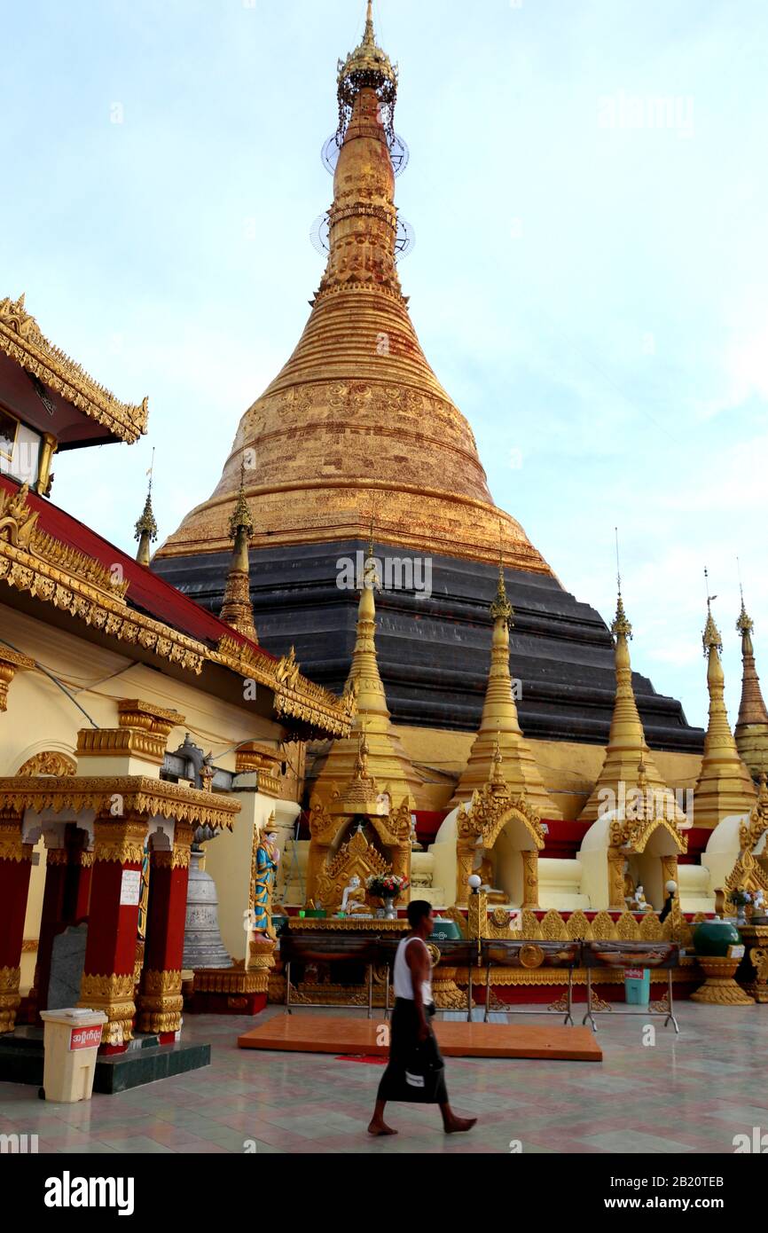 Lan tan hi-res stock photography and images - Alamy