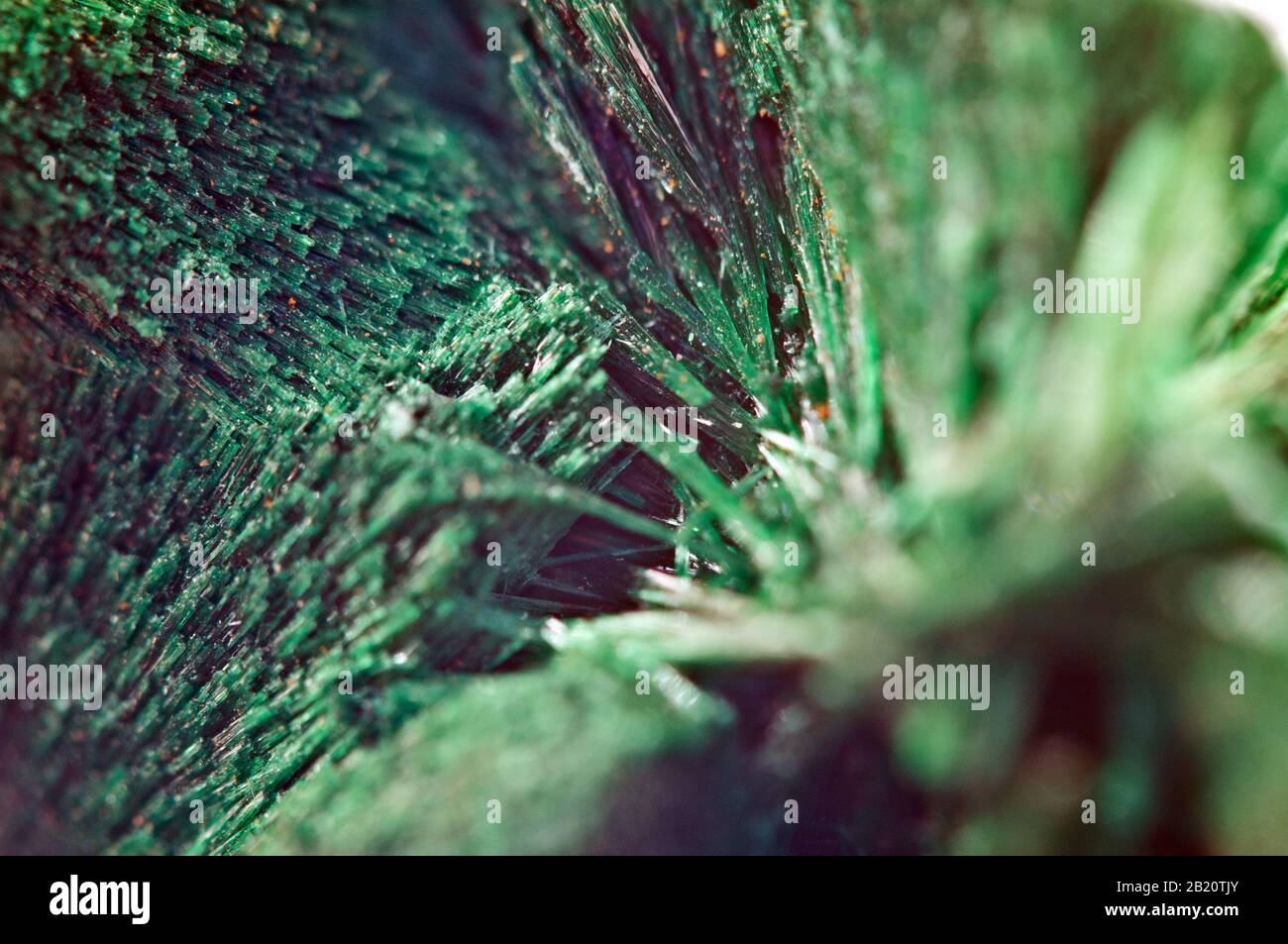 Malachite green stain hi-res stock photography and images - Alamy
